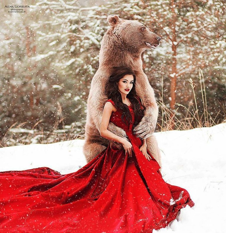Russian Photographer Inadvertently Proves Brown Bear Probably Stole ...