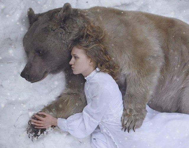 Russian Photographer Inadvertently Proves Brown Bear Probably Stole ...