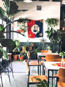 19 Best Coffee Shops in Austin, (Updated 2019) | The Creative Ham